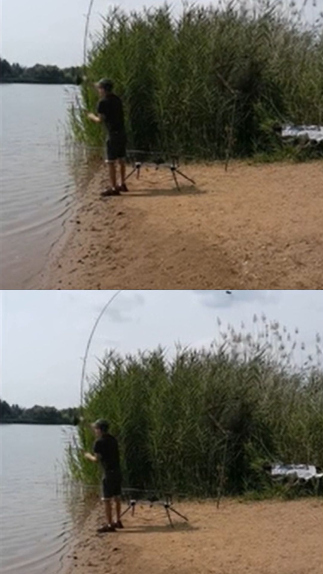 Big Fish, Bigger Thrills – Unforgettable Fishing Moments