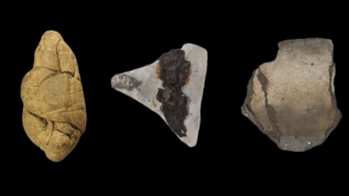 6,000-Year-Old Chewing Gum Reveals Clues on Neolithic Gender Roles
