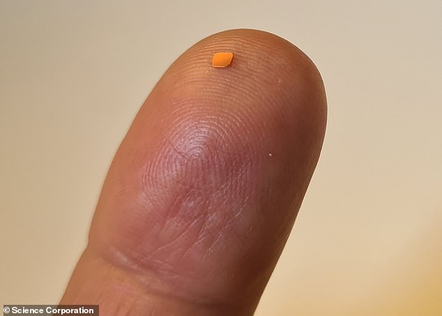 The chip that could cure blindness: 'Pioneering' device restores vision ...