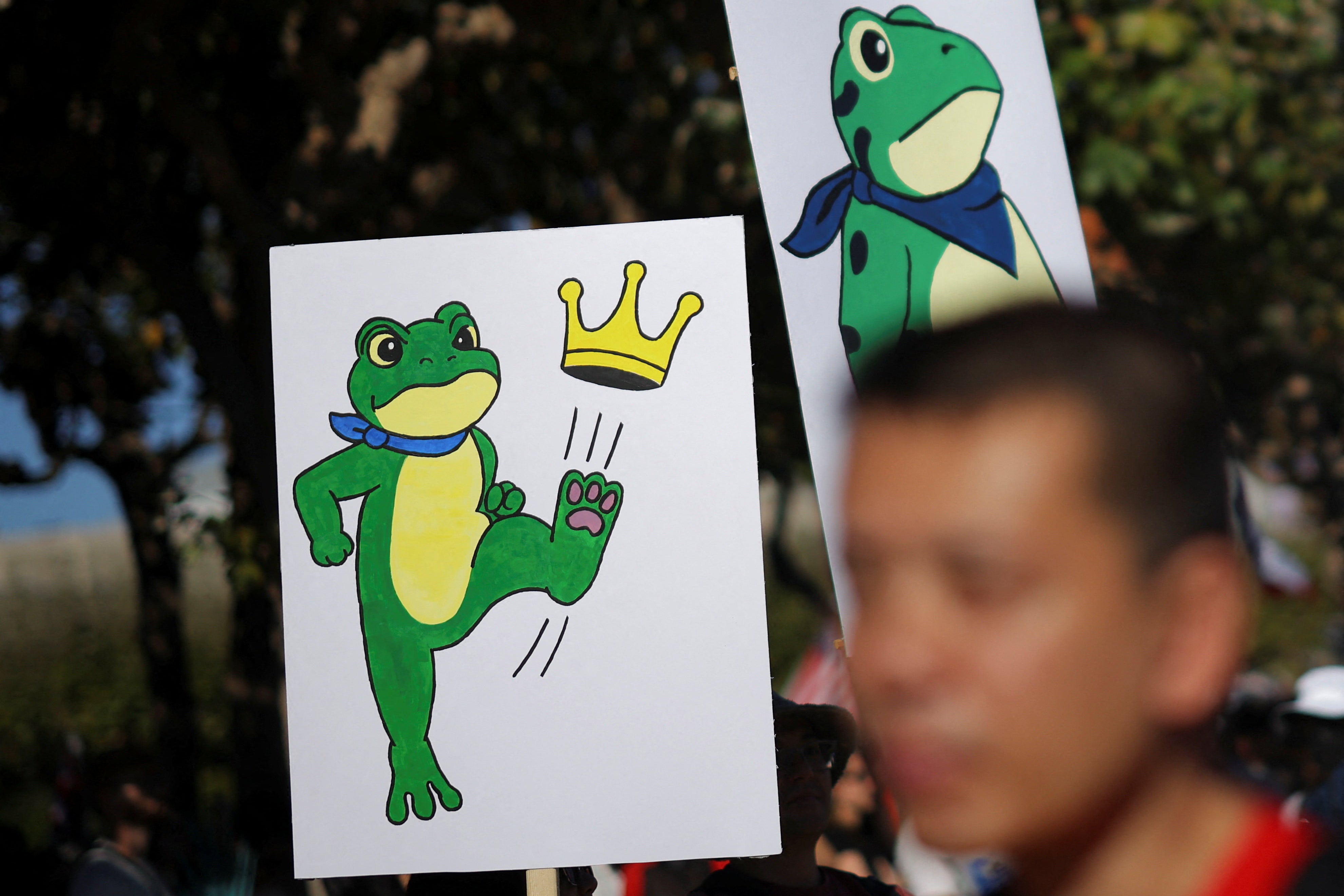 Operation Inflation: How Portland’s ‘Antifa frog’ became a No Kings ...
