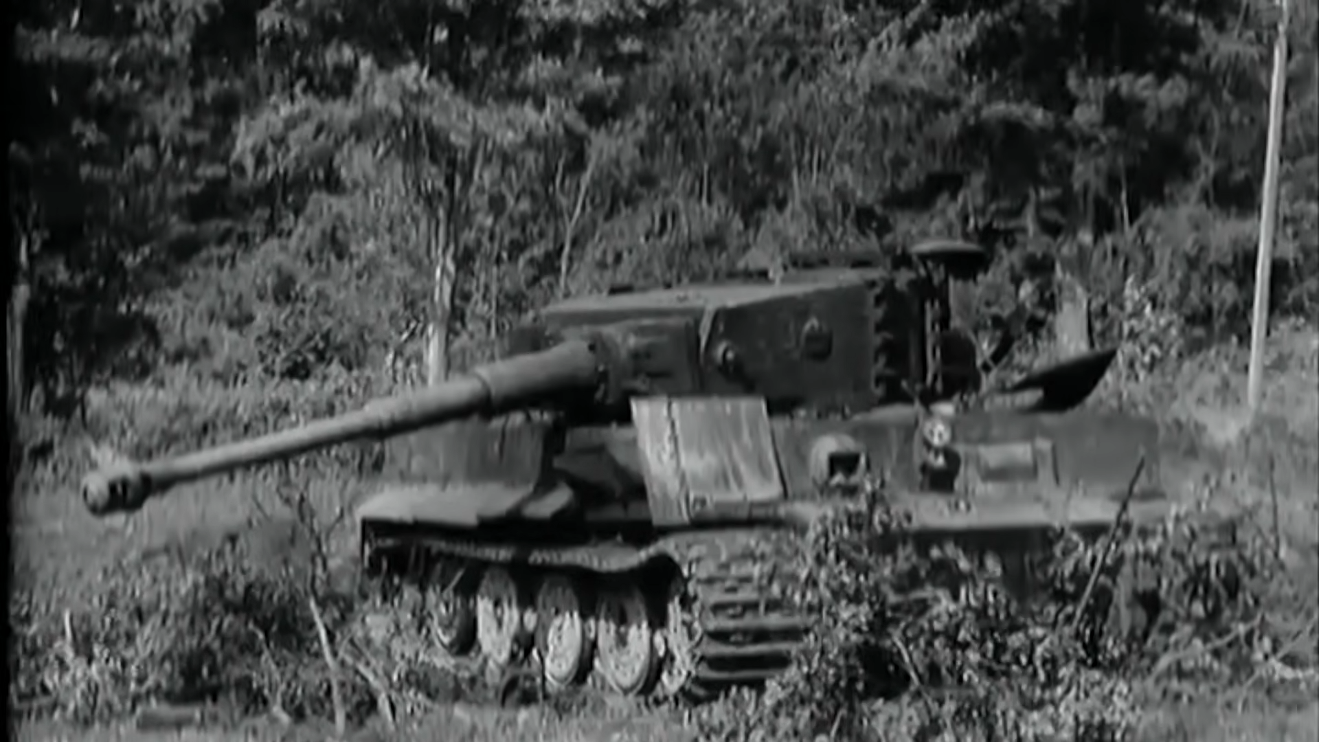 What Was This Weird Paste on Nazi Tanks?