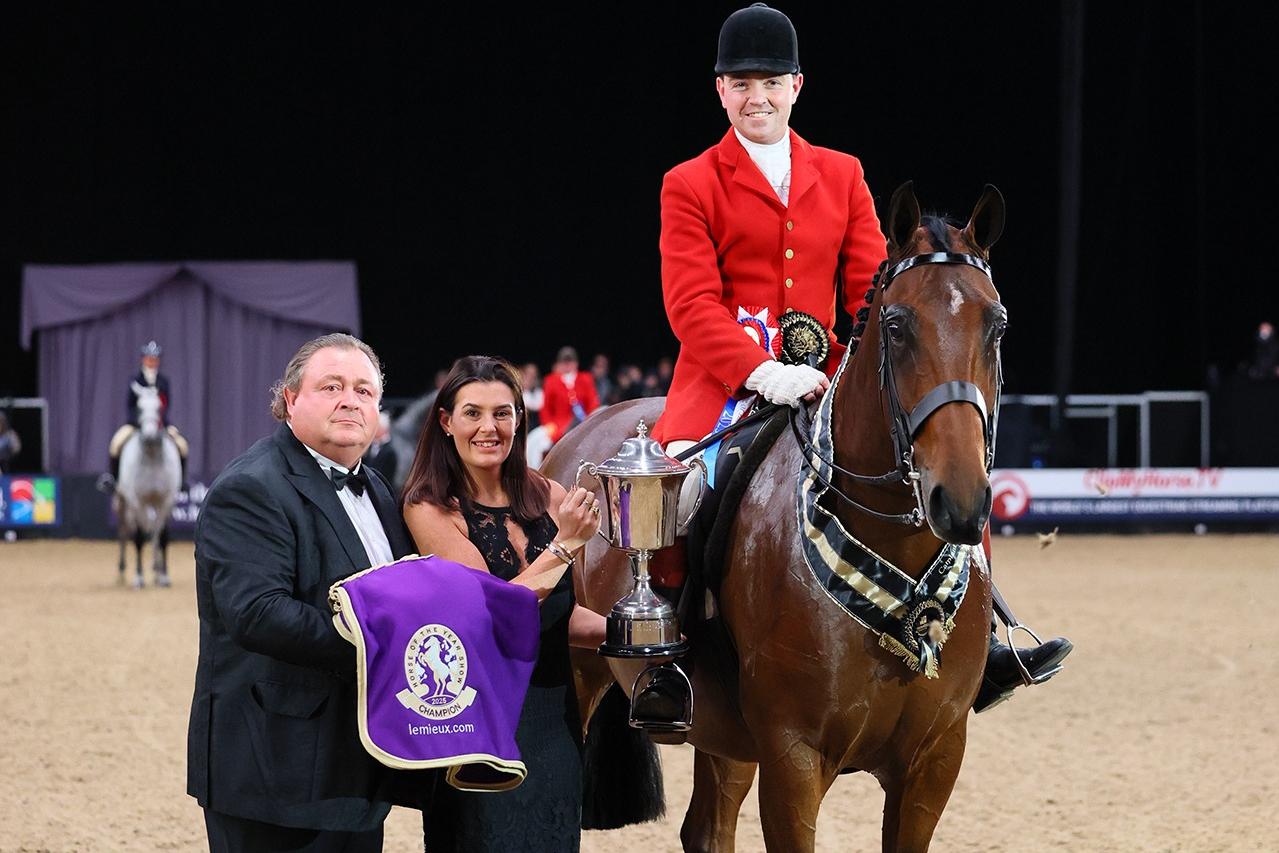 Horse Week: Katesbridge-bred Shanaghan Velvet crowned HOYS Hunter of ...