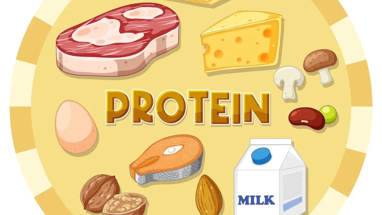 Protein Deficiency: Why Does the Body Lack Protein and What Are Its ...