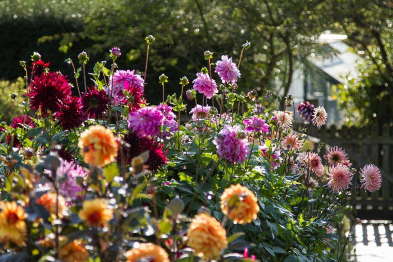 Hidden history: Charles Hanson to host valuation day at historic Easton ...