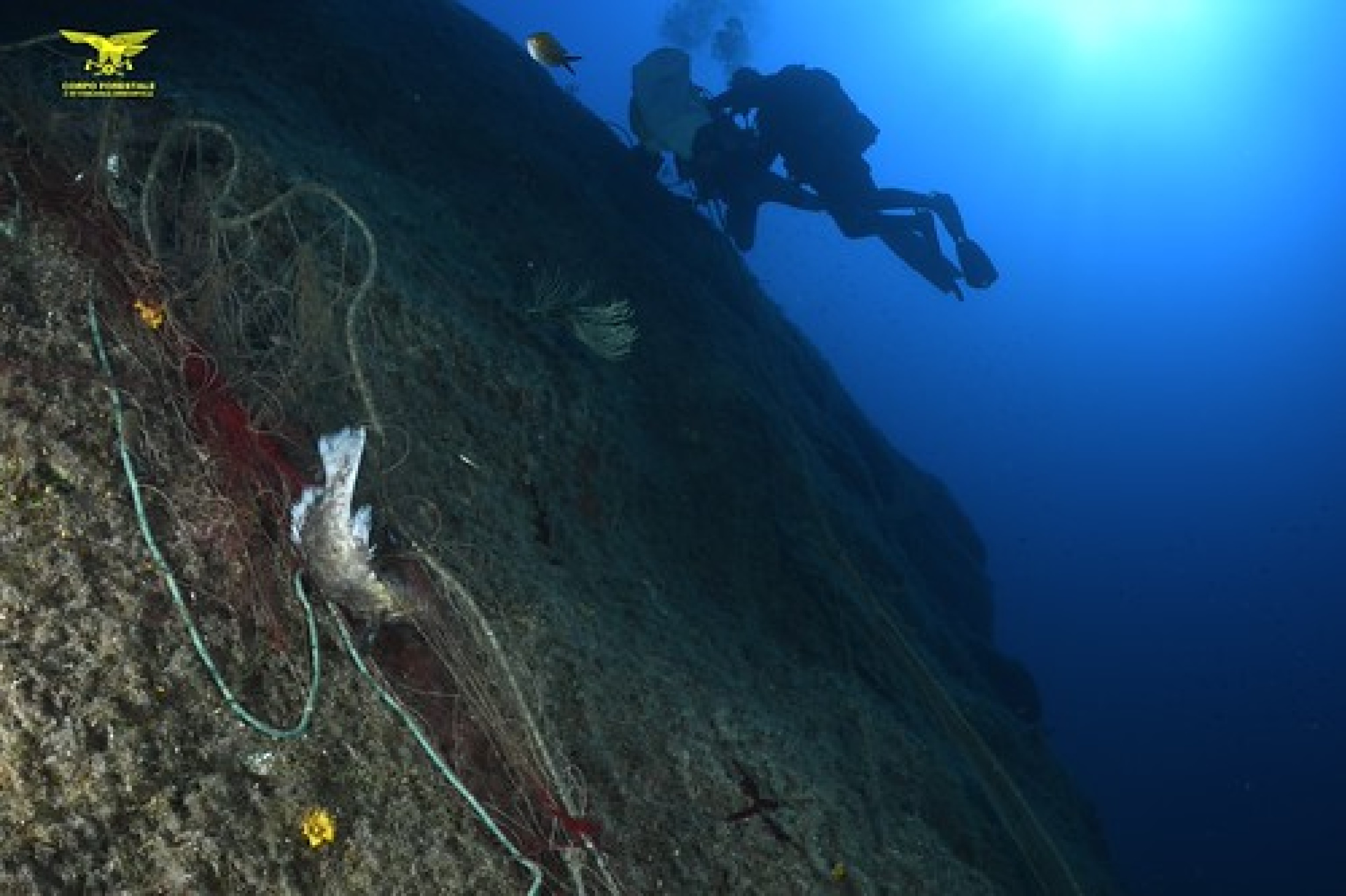 Rimosse reti e nasse nei fondali di Torre delle Stelle