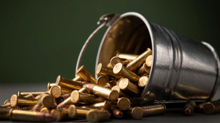 Bullets 101: Rimfire vs Centerfire — Learn the Difference & the Backstory