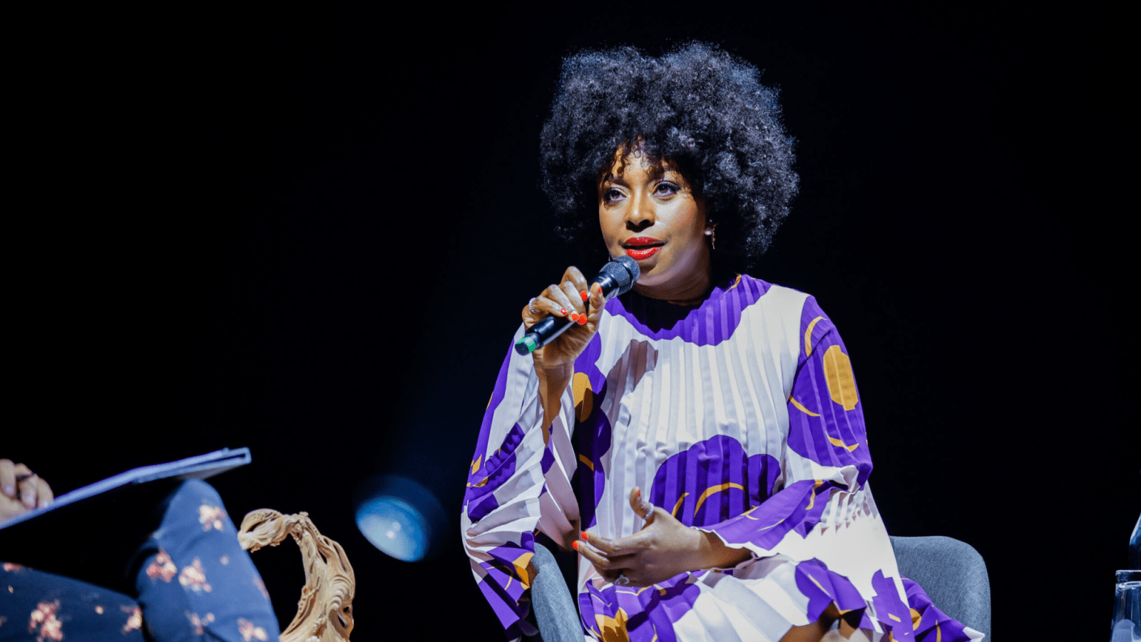 Chimamanda Just Got a Mermaid Award. But What Does That Even Mean?