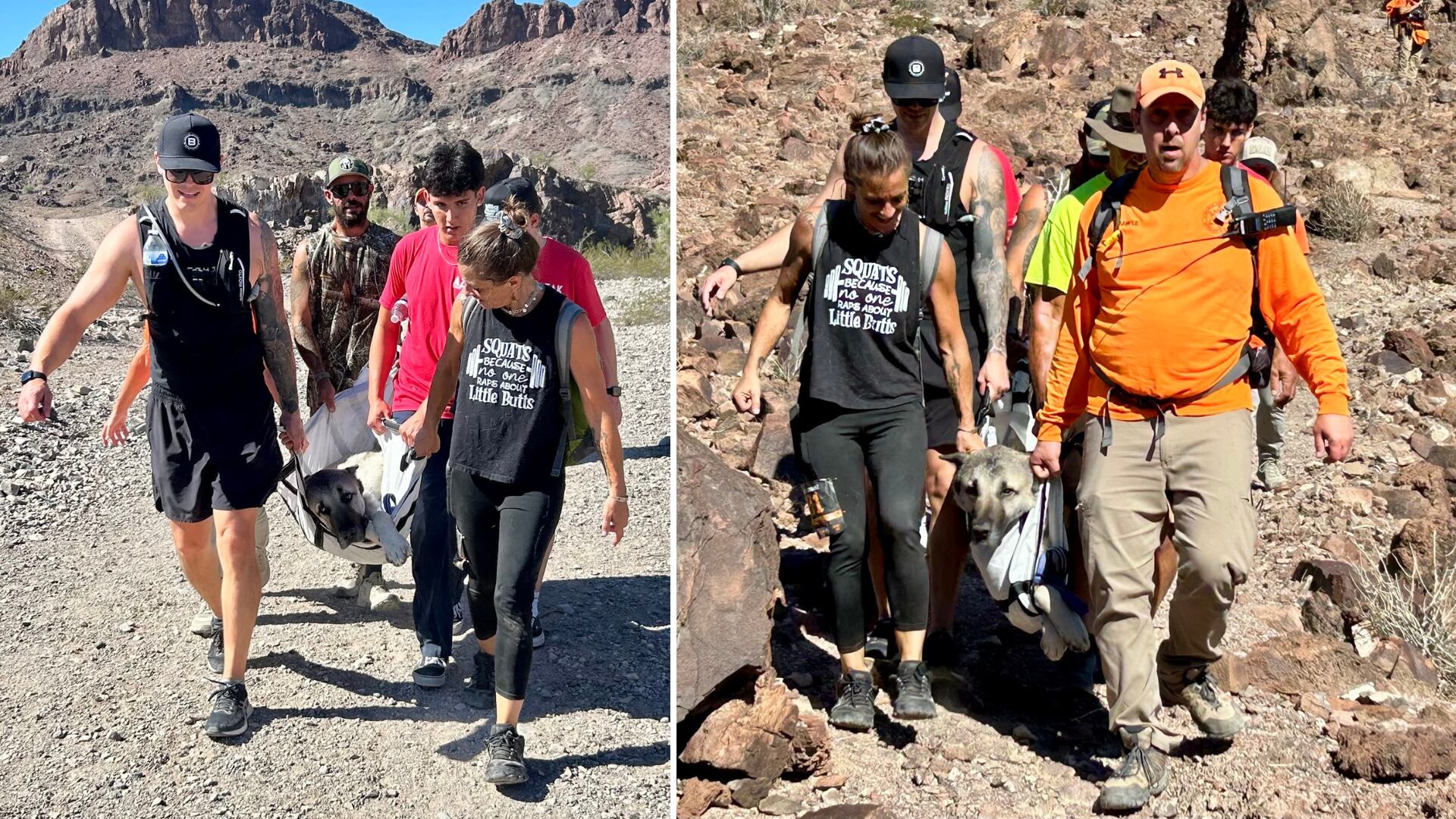 Dog rescued from exhaustion during 5k/10k run on Arizona mountain