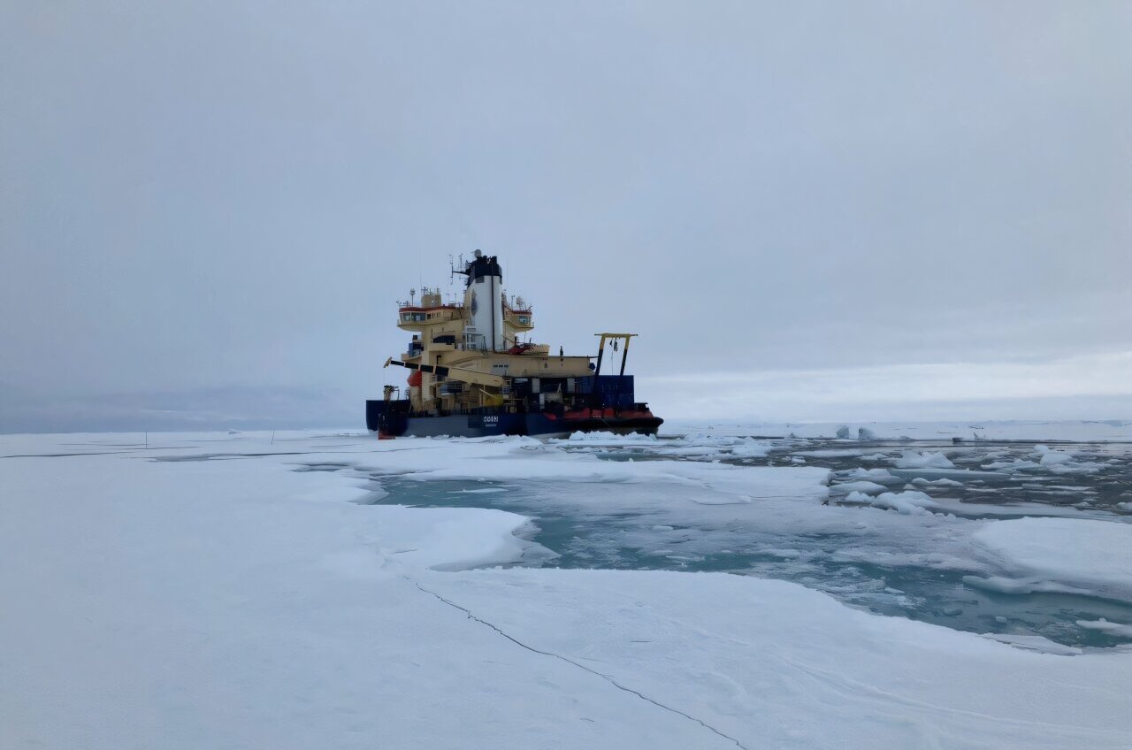 Nitrogen fixation phenomenon discovered in the Arctic could boost ...