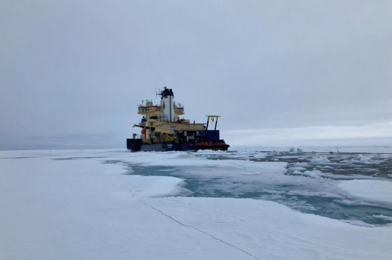 Nitrogen fixation phenomenon discovered in the Arctic could boost ...