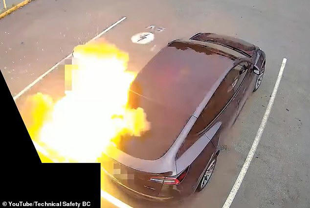 Tesla owner hurled through the air after his knock-off charger EXPLODED ...