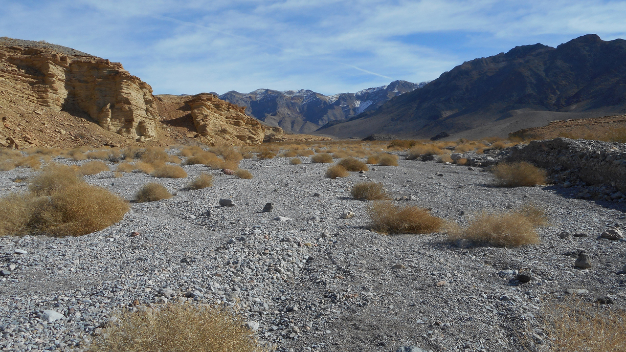 The best California campgrounds to visit when you want solitude