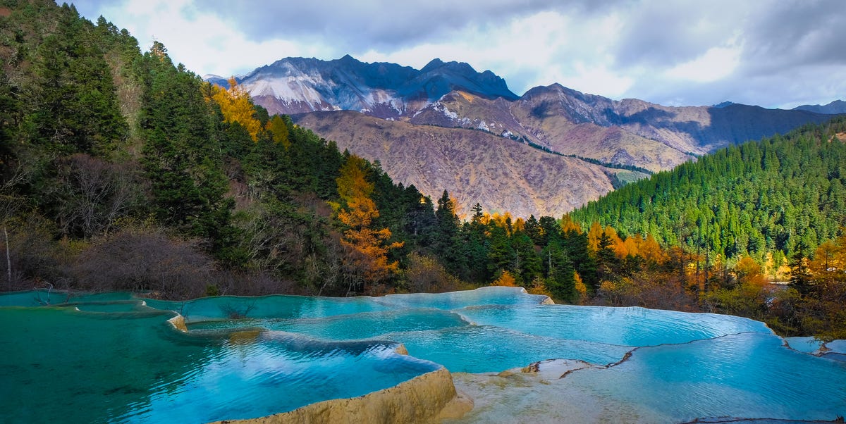 The 10 most beautiful forests around the world to add to your travel list