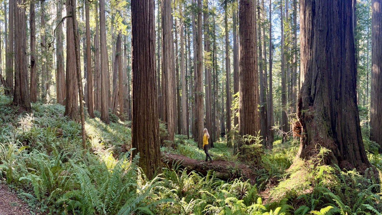 The best California campgrounds to visit when you want solitude