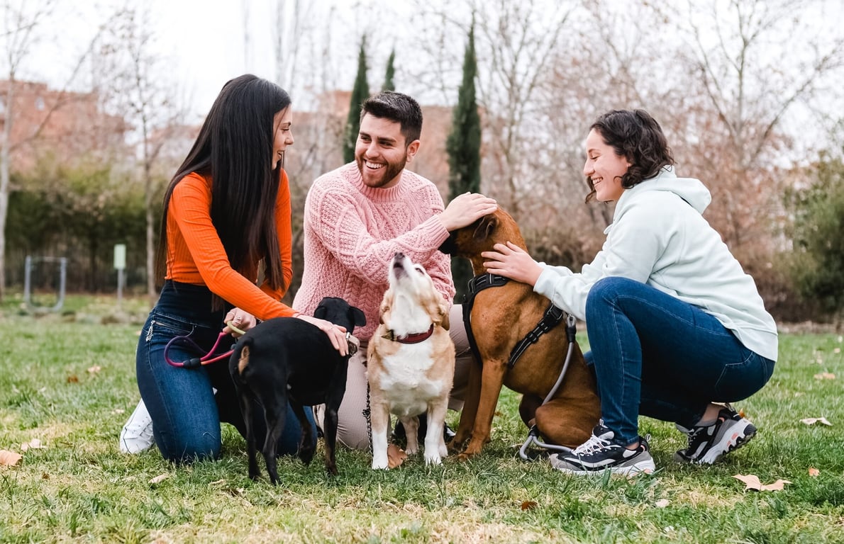 15 places where dog lovers and their pups thrive most in America