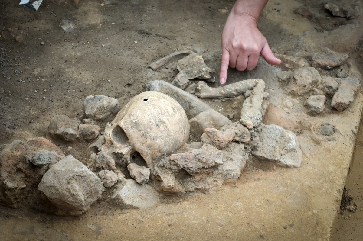Archaeologists Make Gruesome Discovery of Tools Made from Human Skulls