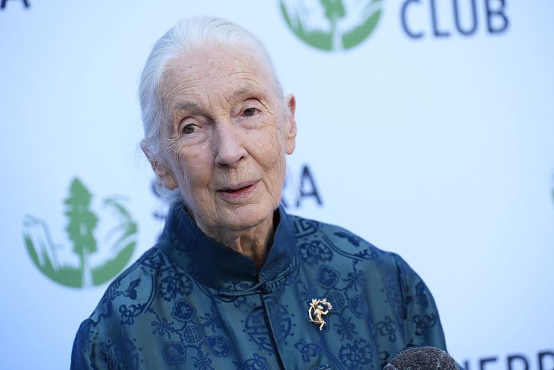 Jane Goodall’s cause of death revealed: report