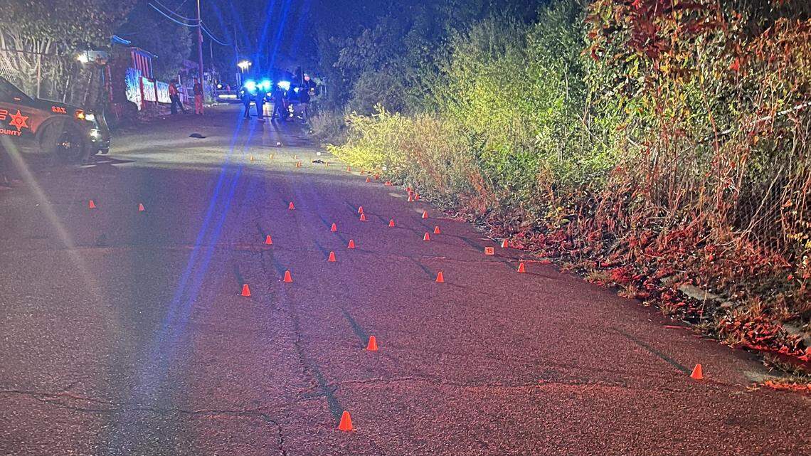Rifle, handgun found at scene of shooting that left teen, brothers dead ...