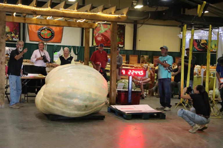 West Virginia sweeps NC State Fair giant pumpkin contest with state record