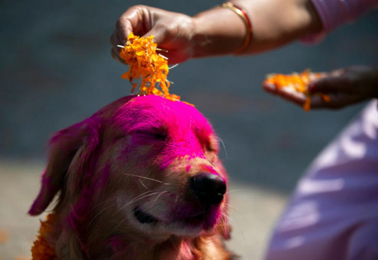 What is Diwali, and how is it celebrated?
