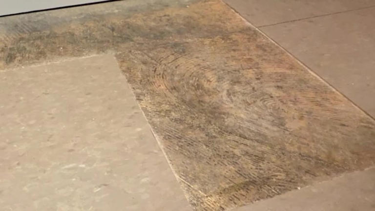 Knoxville man left with unfinished shower for months after maintenance didn’t complete project