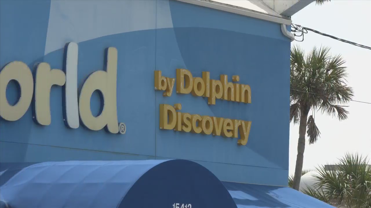 Gulf World Dolphins Sold