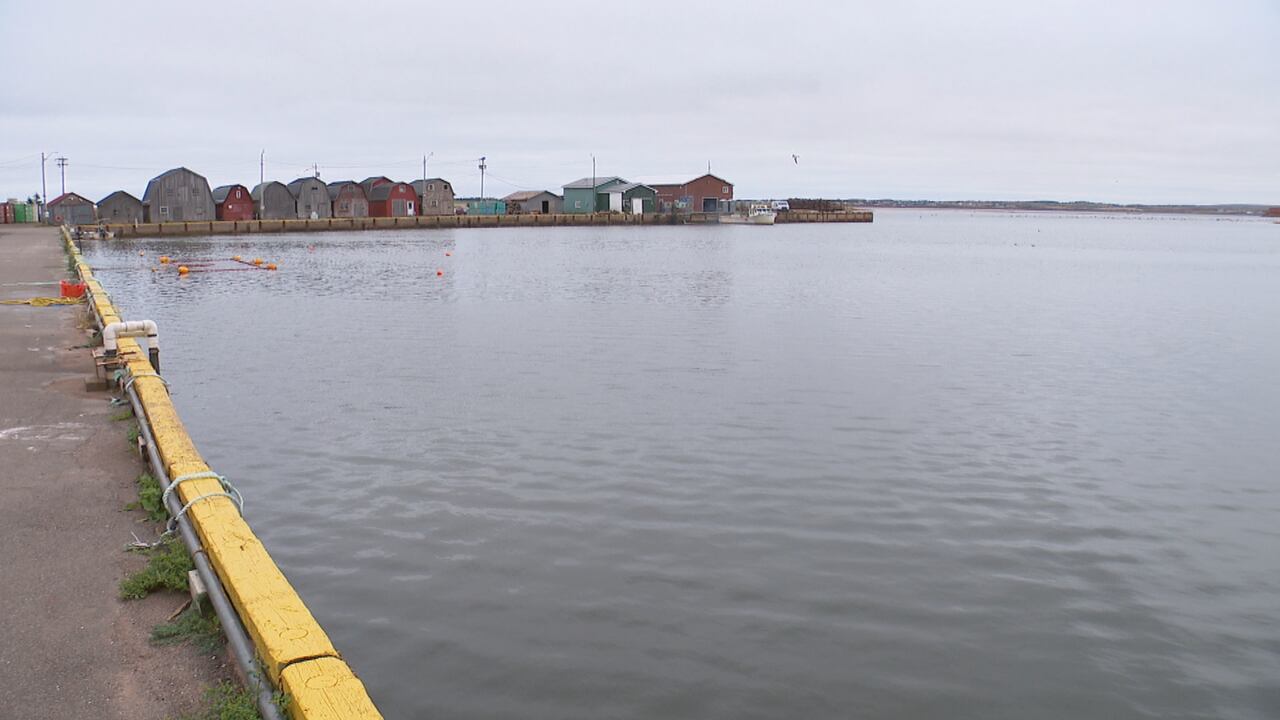 Fishermen say Malpeque Harbour a 'ghost town' after lack of dredging ...