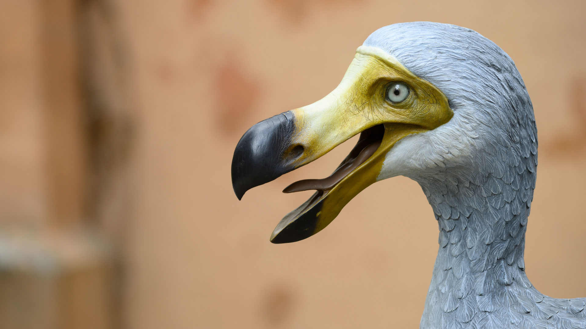 Scientists Finally Know The Real Reason Dodo Birds Went Extinct