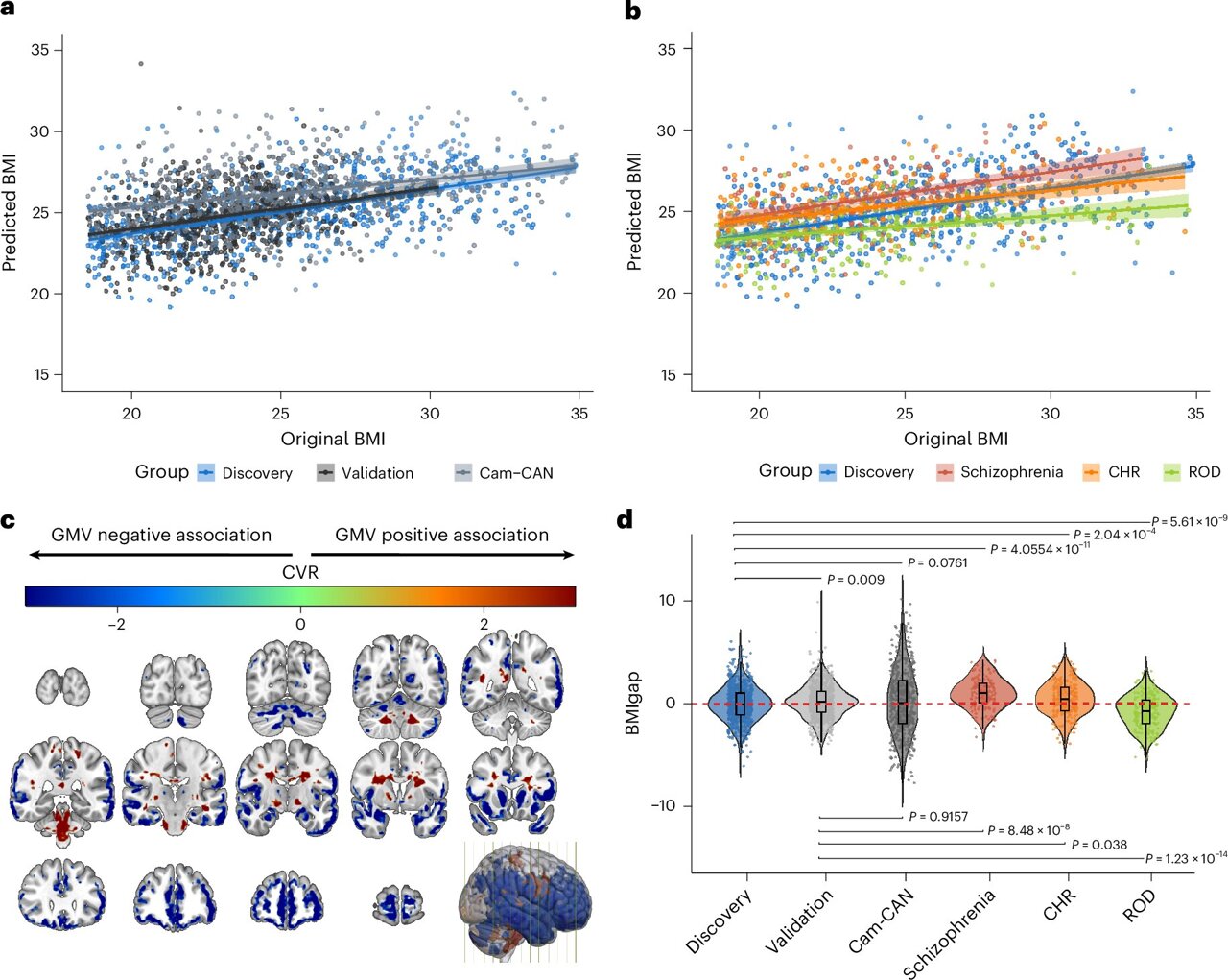 Brain scans may predict future weight gain in people with mental disorders