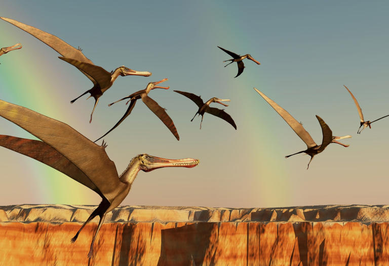 Were Pterodactyls Actually Dinosaurs Or Something Else Entirely?