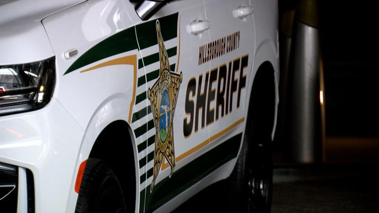 Owner stabbed after dog fight at Brandon apartment’s park: deputies