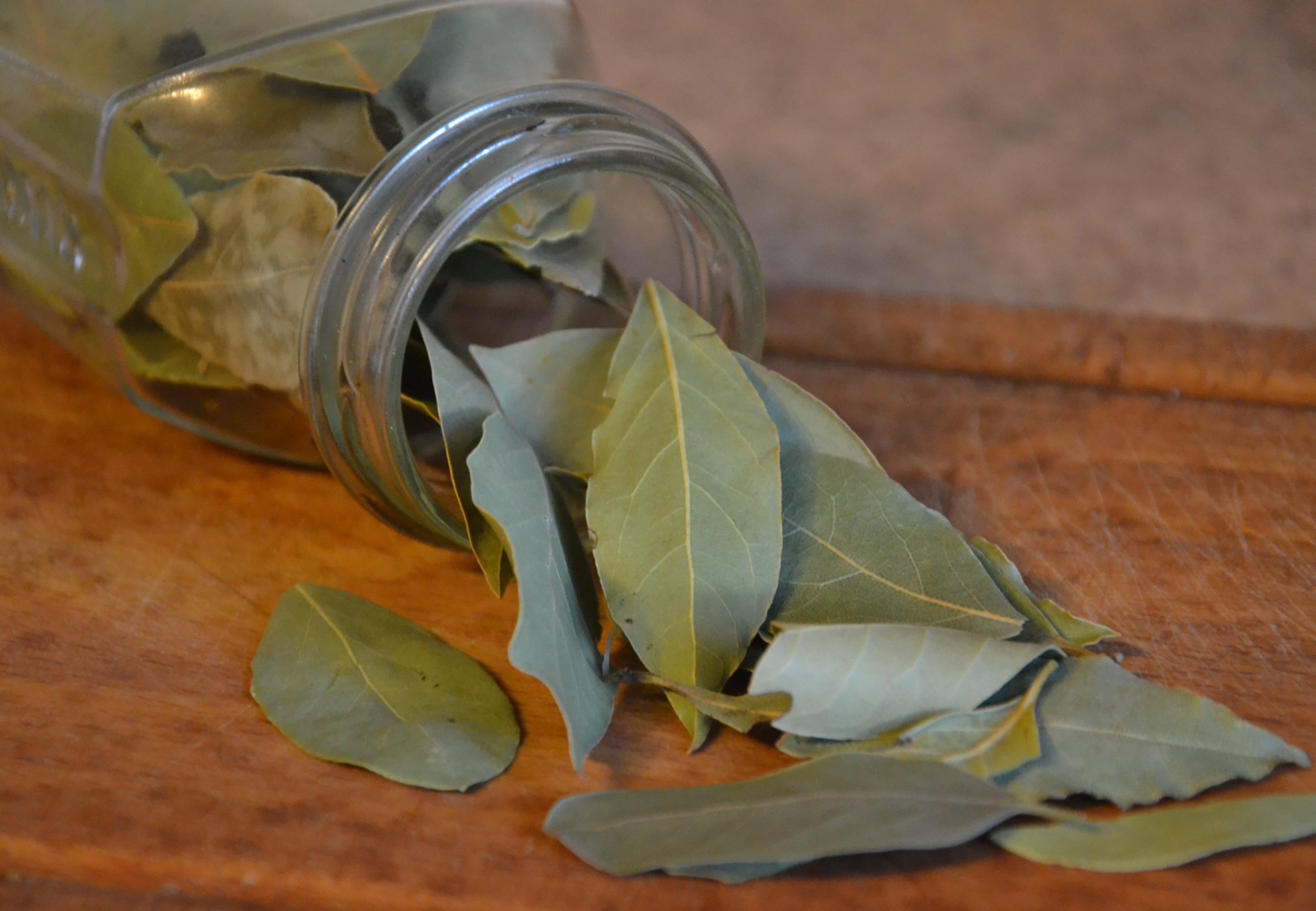 Por qué el feng shui recomienda colocar un recipiente con laurel en tu casa