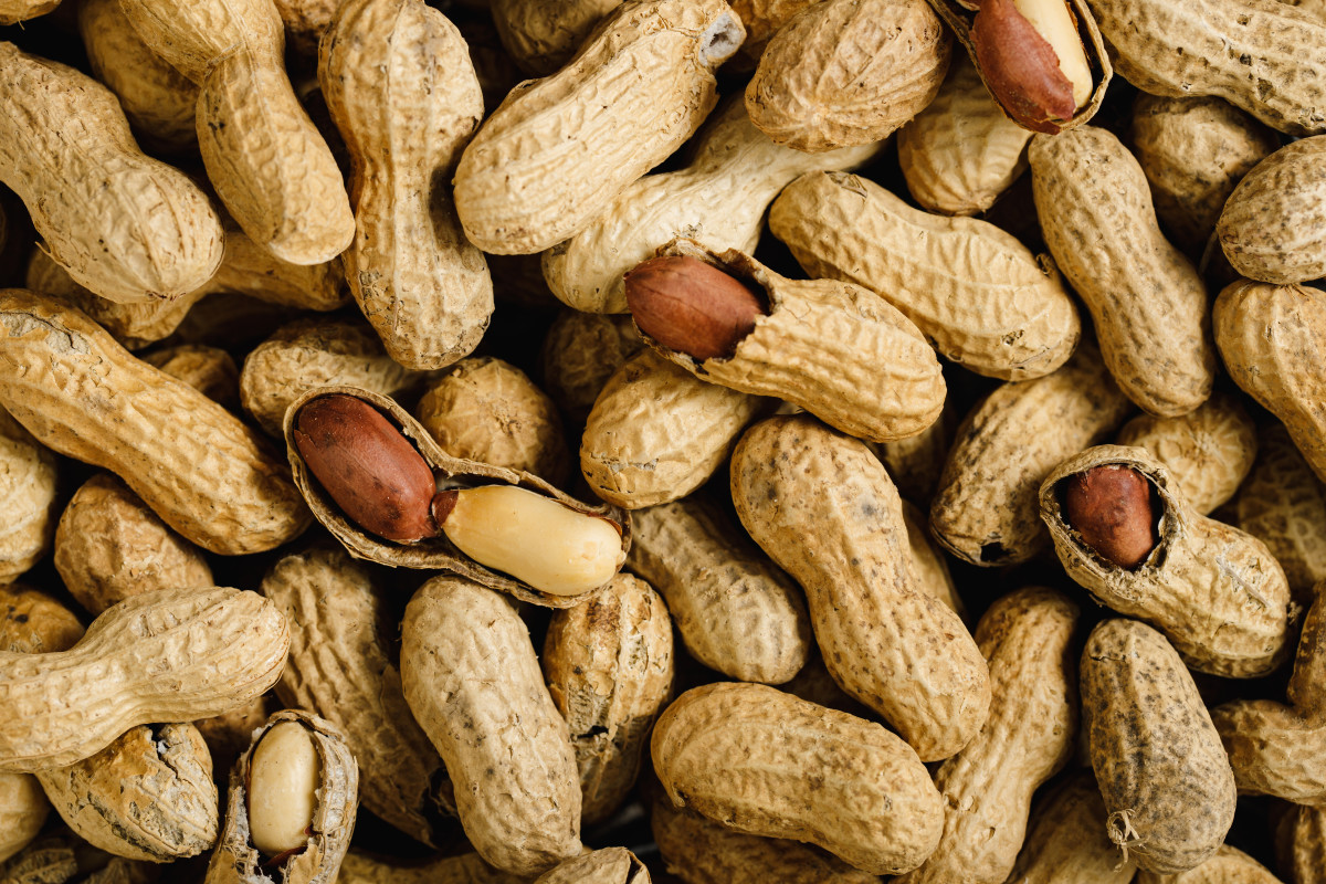 Feeding Babies Peanuts Early Helped 60,000 Kids Avoid Allergies