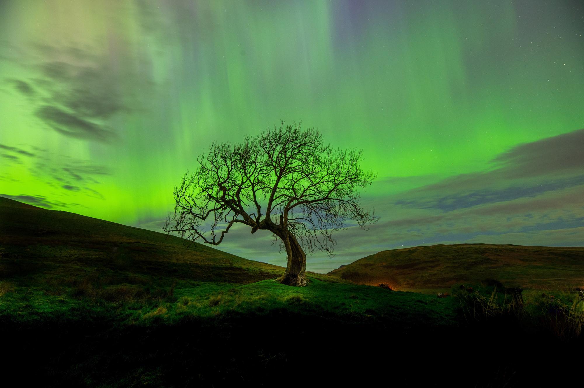 Falkirk area photographer's amazing image wins BBC Countryfile calendar ...