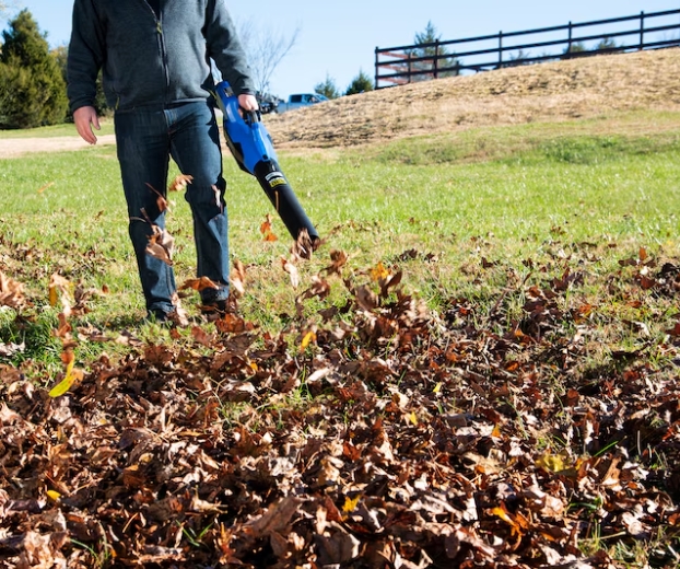 Tackle Fall Leaves with the Kobalt 80-Volt Battery Leaf Blower – Now ...