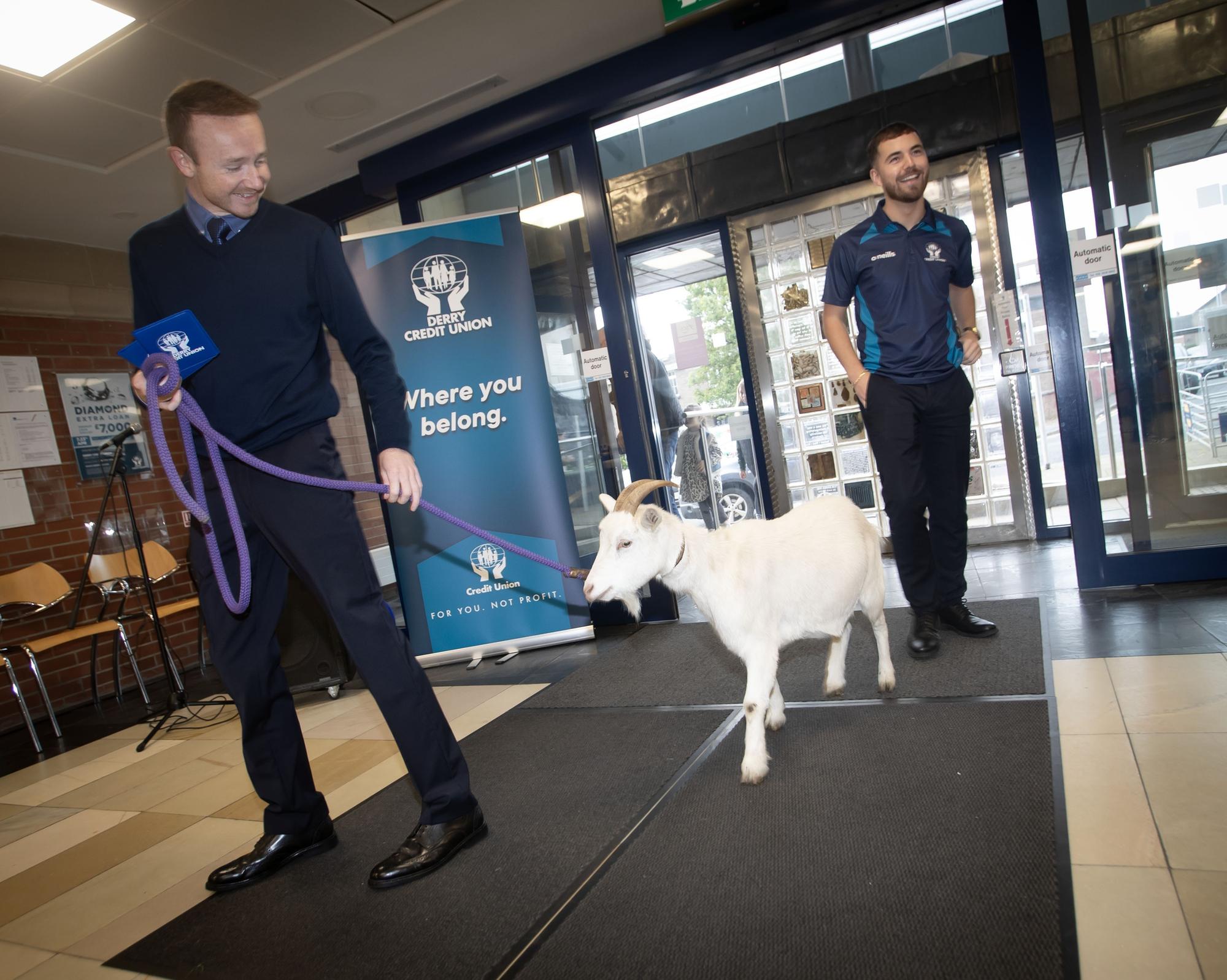 33 brilliant pictures from Derry Credit Union celebrations in the Bogside