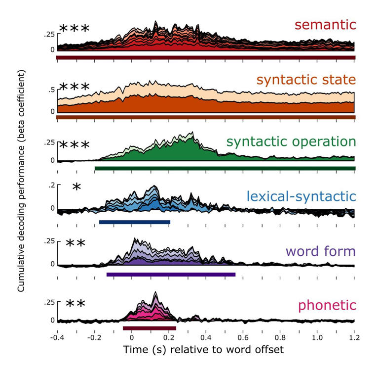 New study maps how we simultaneously process different words