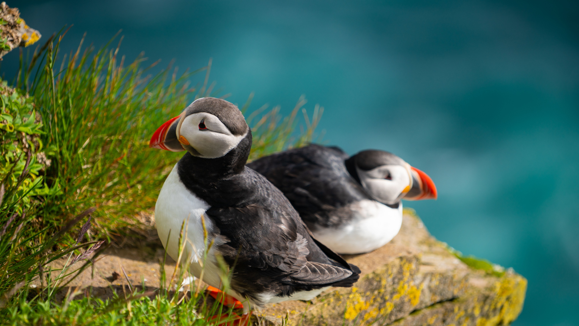 Canada’s Bucket-List Wildlife Experiences