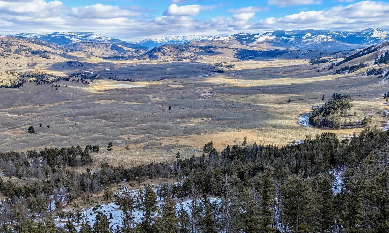 Can you spot the two Yellowstone elk in guide's stunning landscape image?