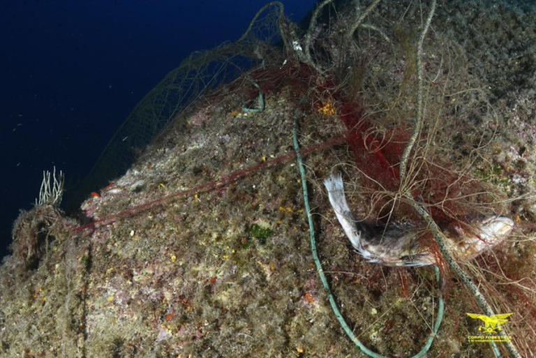 Rimosse reti e nasse nei fondali di Torre delle Stelle