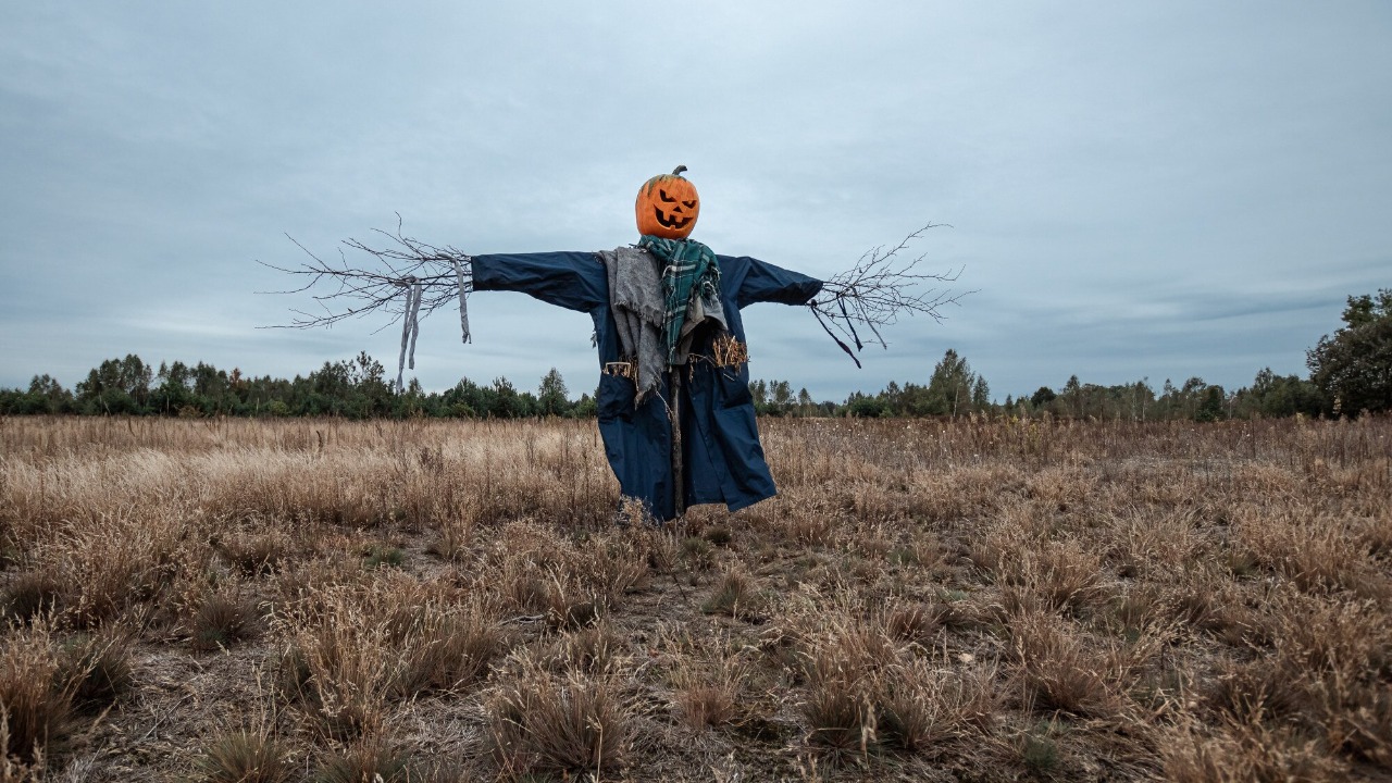 Scarecrows evolved from ancient ritual to horror icon