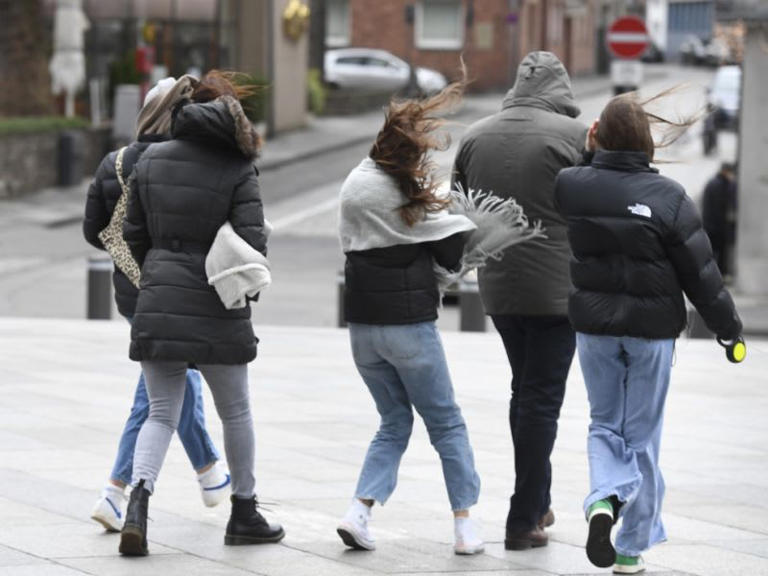 Wetterwarnung St. Wendel bis morgen: DWD warnt vor Windböen