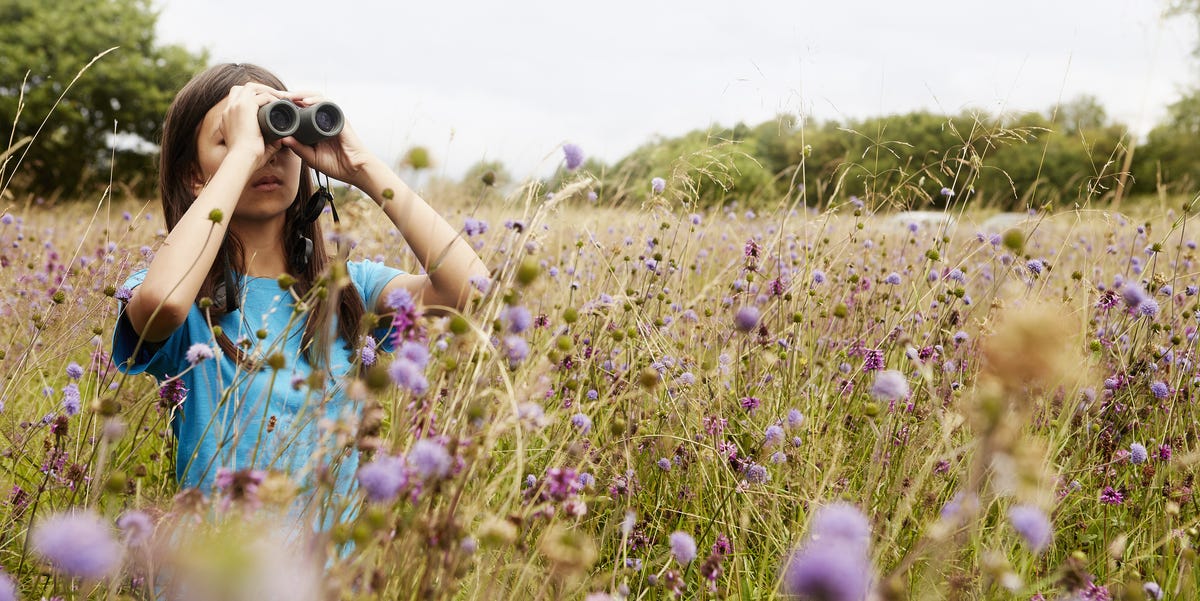 The Top Ten Best Places in the U.S. to Go Bird-watching