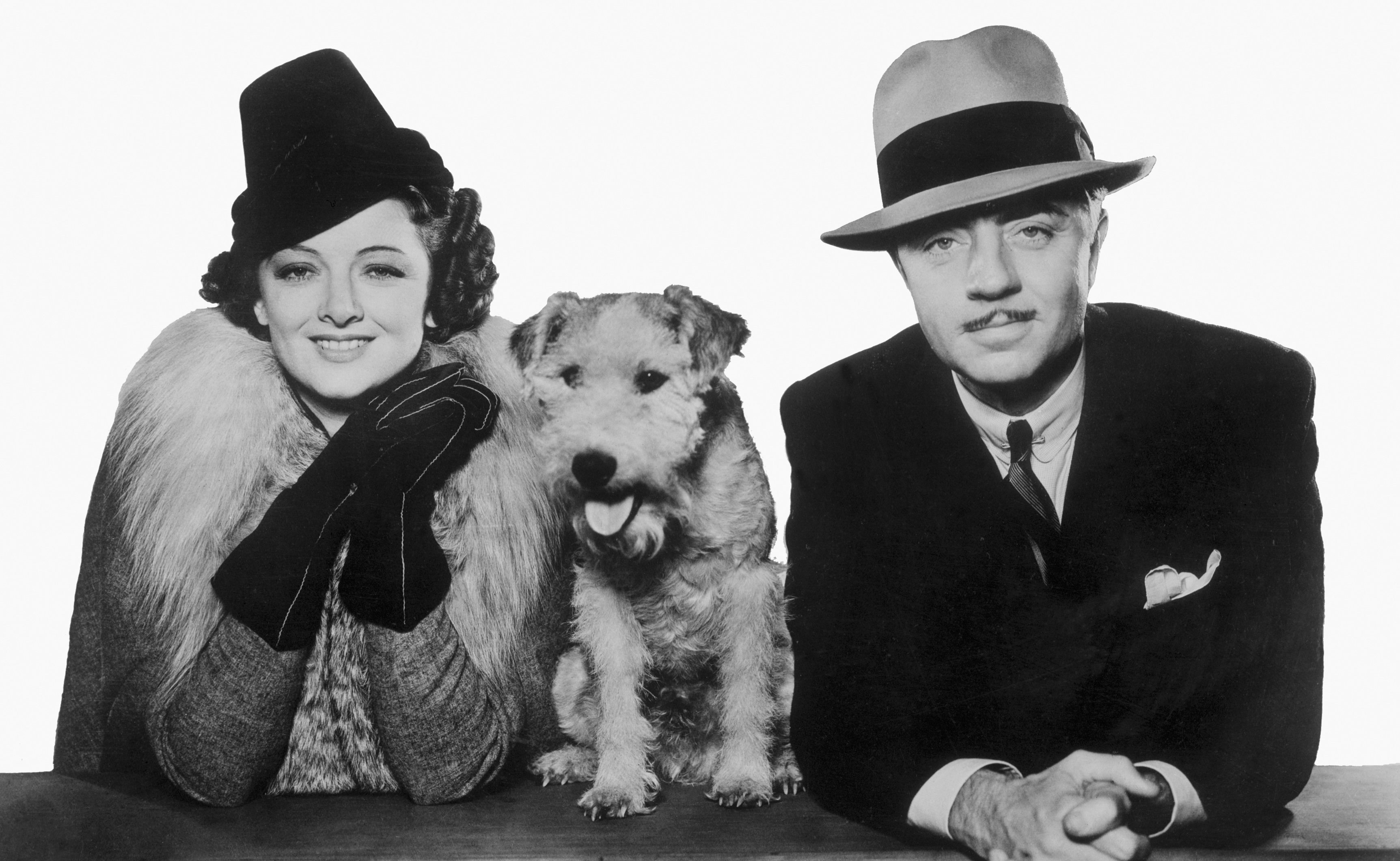 All About Skippy, the Dog Who Charmed Audiences in Classic '30s Films