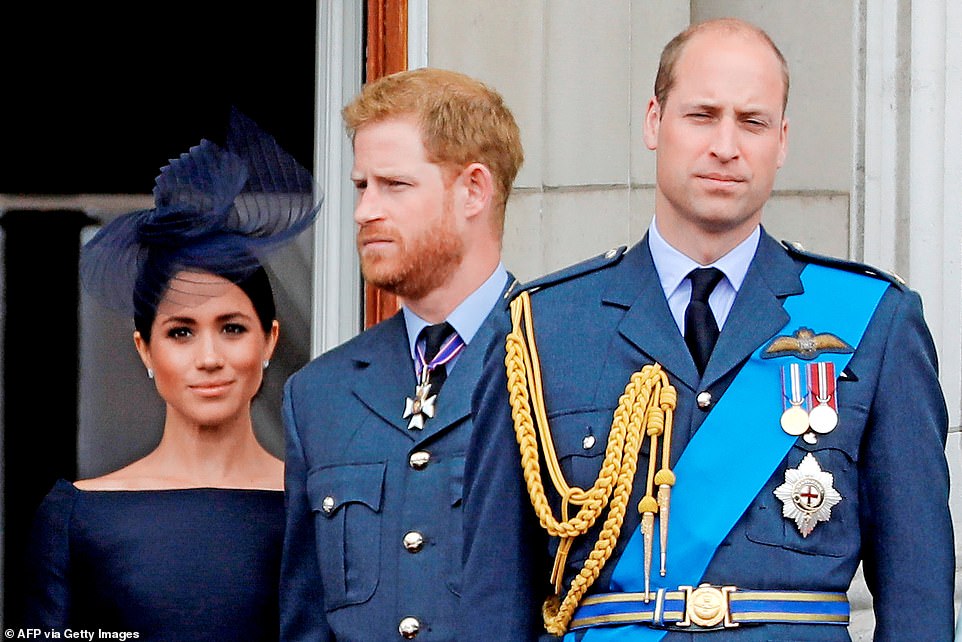 Royal author: Why Harry's 'different paths' remark about William ring true