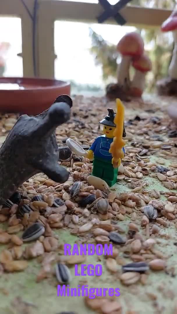 New random LEGO minifigures #shorts #lego #short #legos #random #fyp # ...