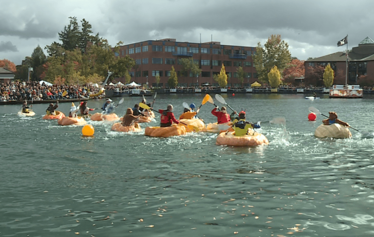 WATCH: Giant gourds set sail at West Coast Giant Pumpkin Regatta