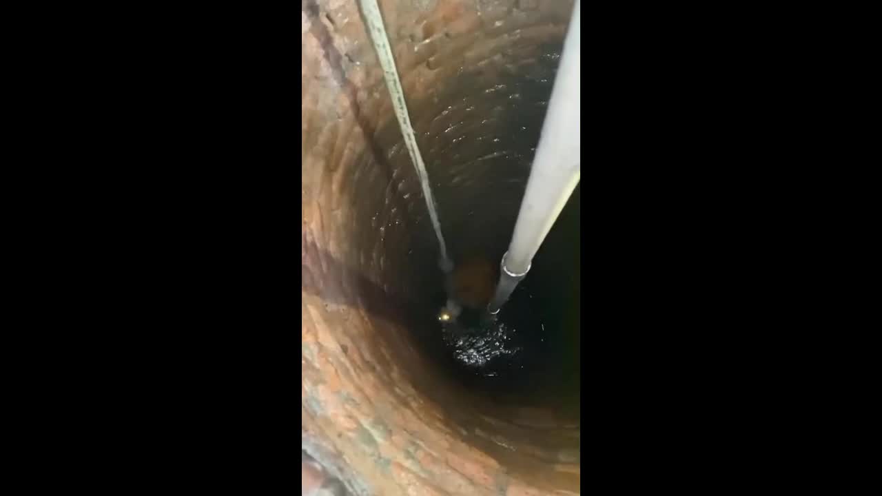 Cat stuck in 50ft deep well is rescued by firemen