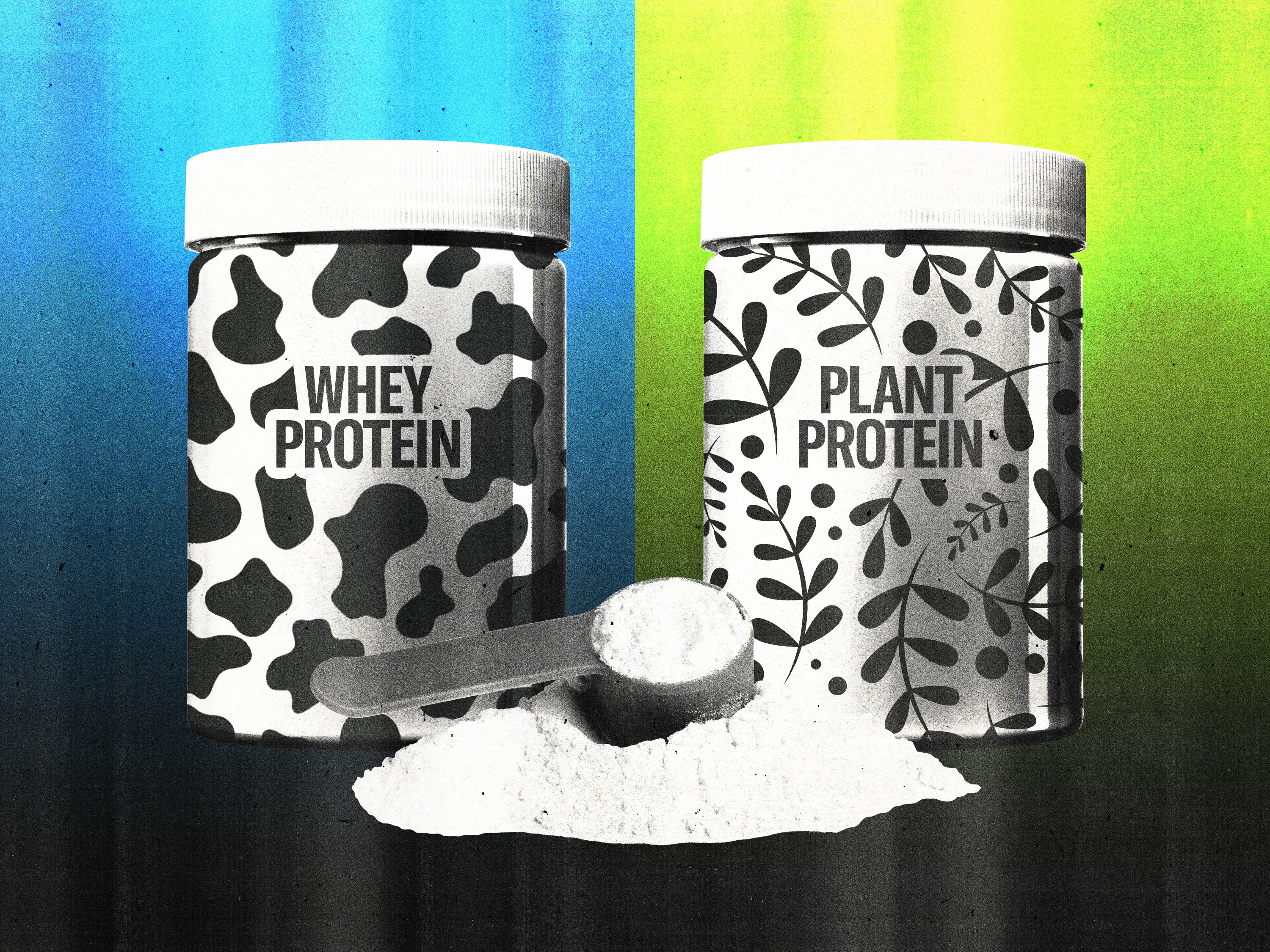 Which type of protein powder has the least lead?