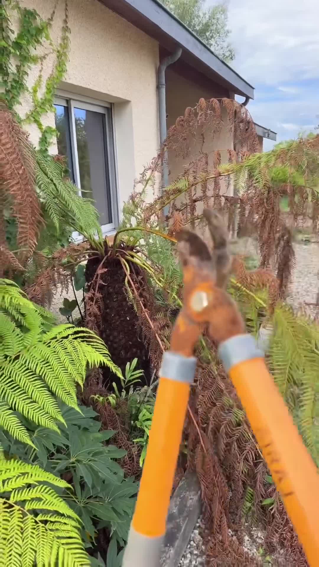 Je désherbe mes massifs